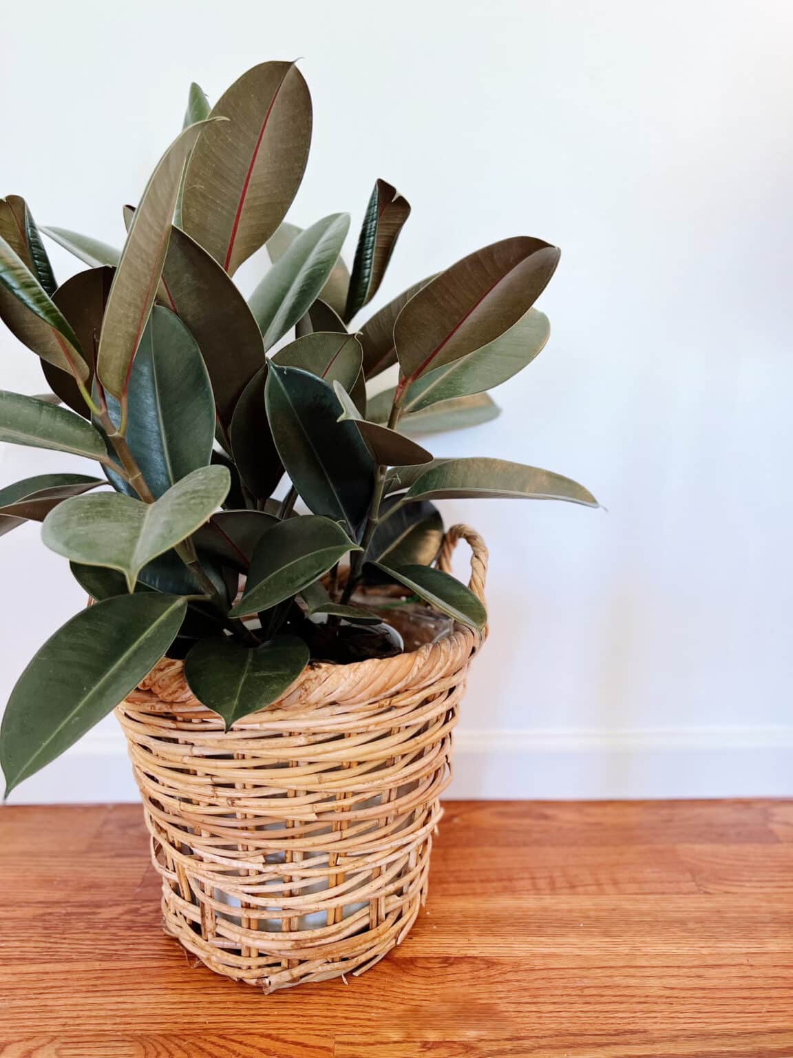 Repurposed and Upcycled Home Decor Ideas - Full Hearted Home
